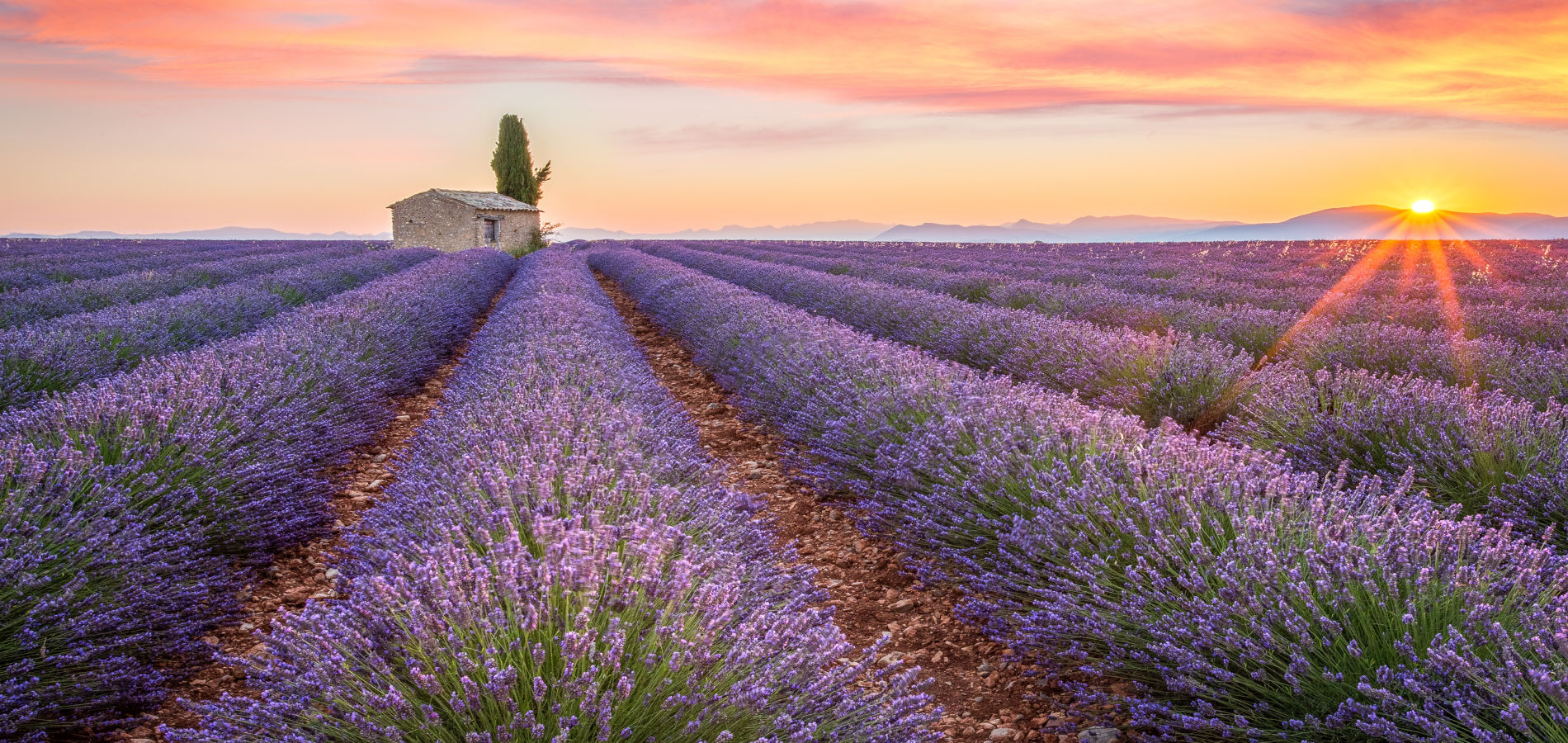 Concierge by OTP Travel | OTP TRAVEL Utazási Iroda